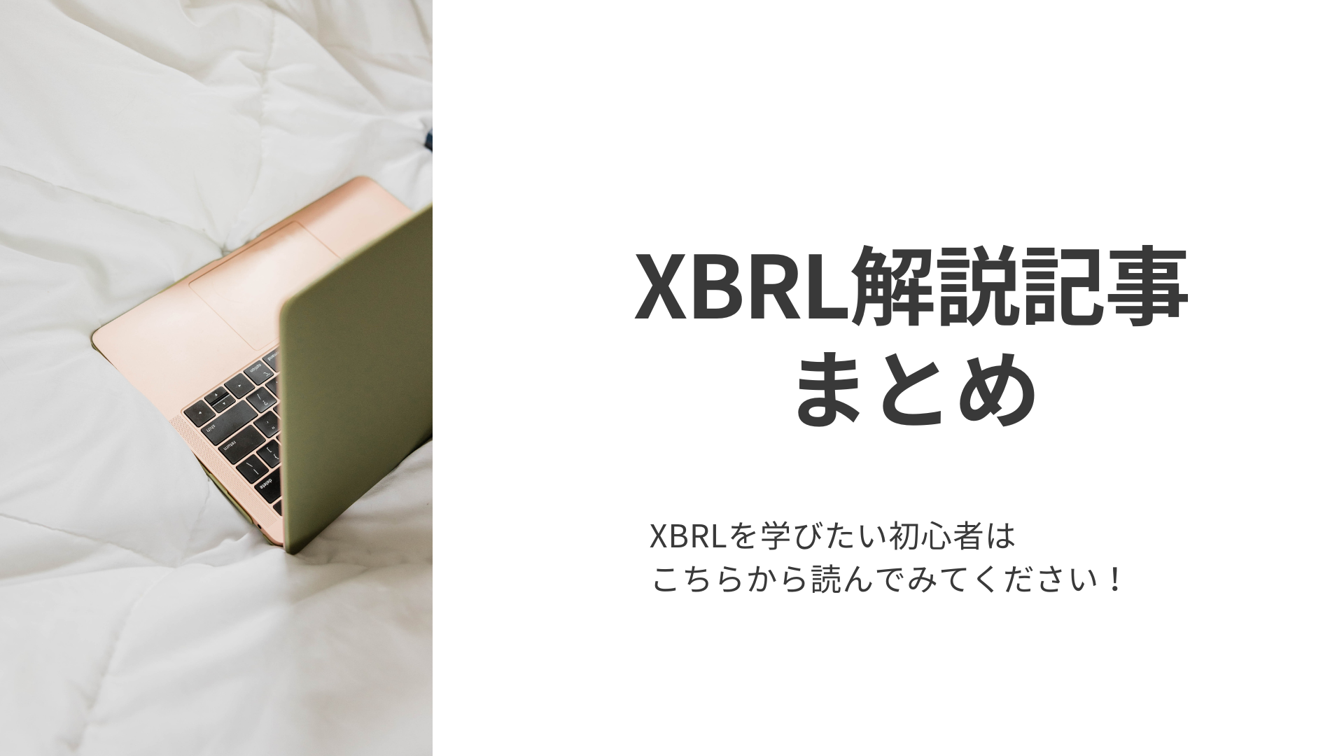 XBRL入門とPython活用ガイド【保存版リンク集】 | コラム | 合同会社オントロジー
